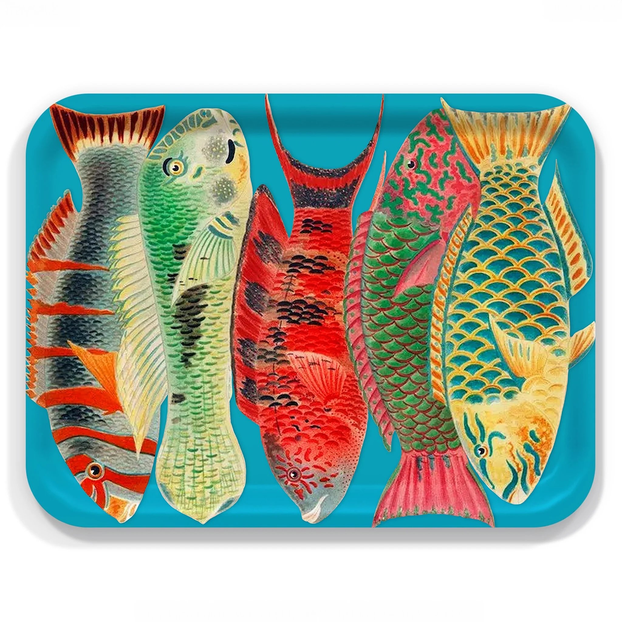 Caskata Rainbow Fish Tray – Large Colorful Coastal Serveware